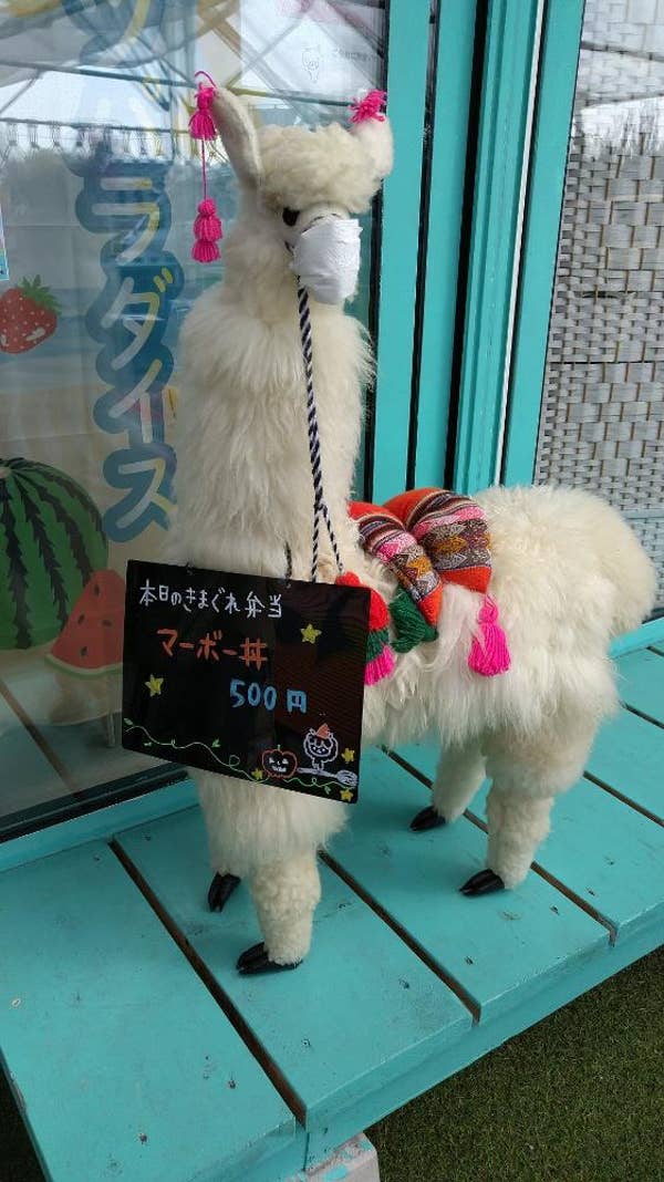 K Hisaeさんの口コミ ：田んぼキッチン - Retty 日本最大級の実名型グルメサービス