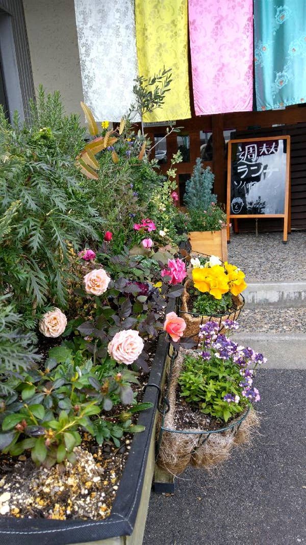 K Hisaeさんの口コミ （ランチ）：コリアンダイナー YANG - Retty 日本最大級の実名型グルメサービス