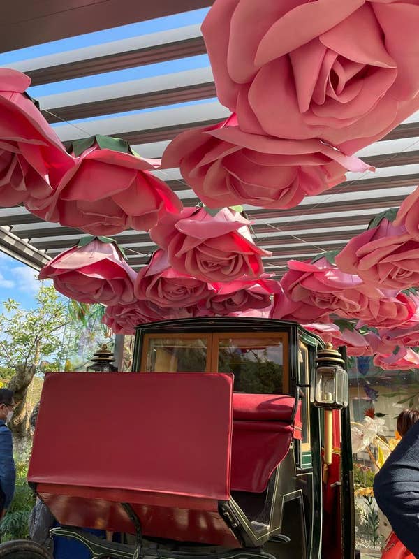 a.takahashiさんの口コミ （ディナー）：オーベルジュ フレンチの森 Prince Etoile - Retty 日本最大級の実名型グルメサービス